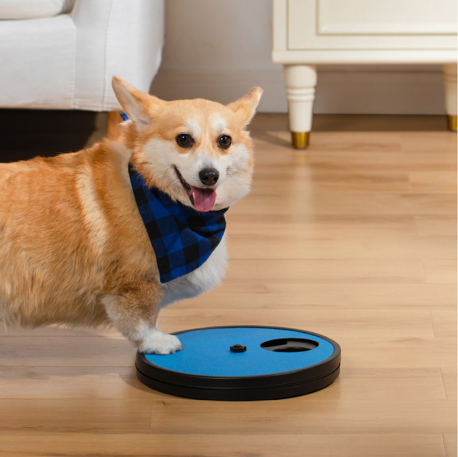 Travel Stress-Free with Your Pets | Panther Armor