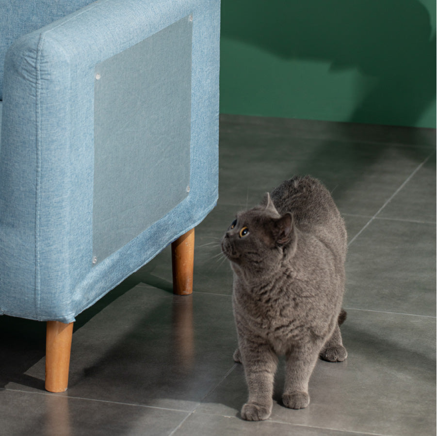 Scratch Protection from Cats & Dogs | Panther Armor