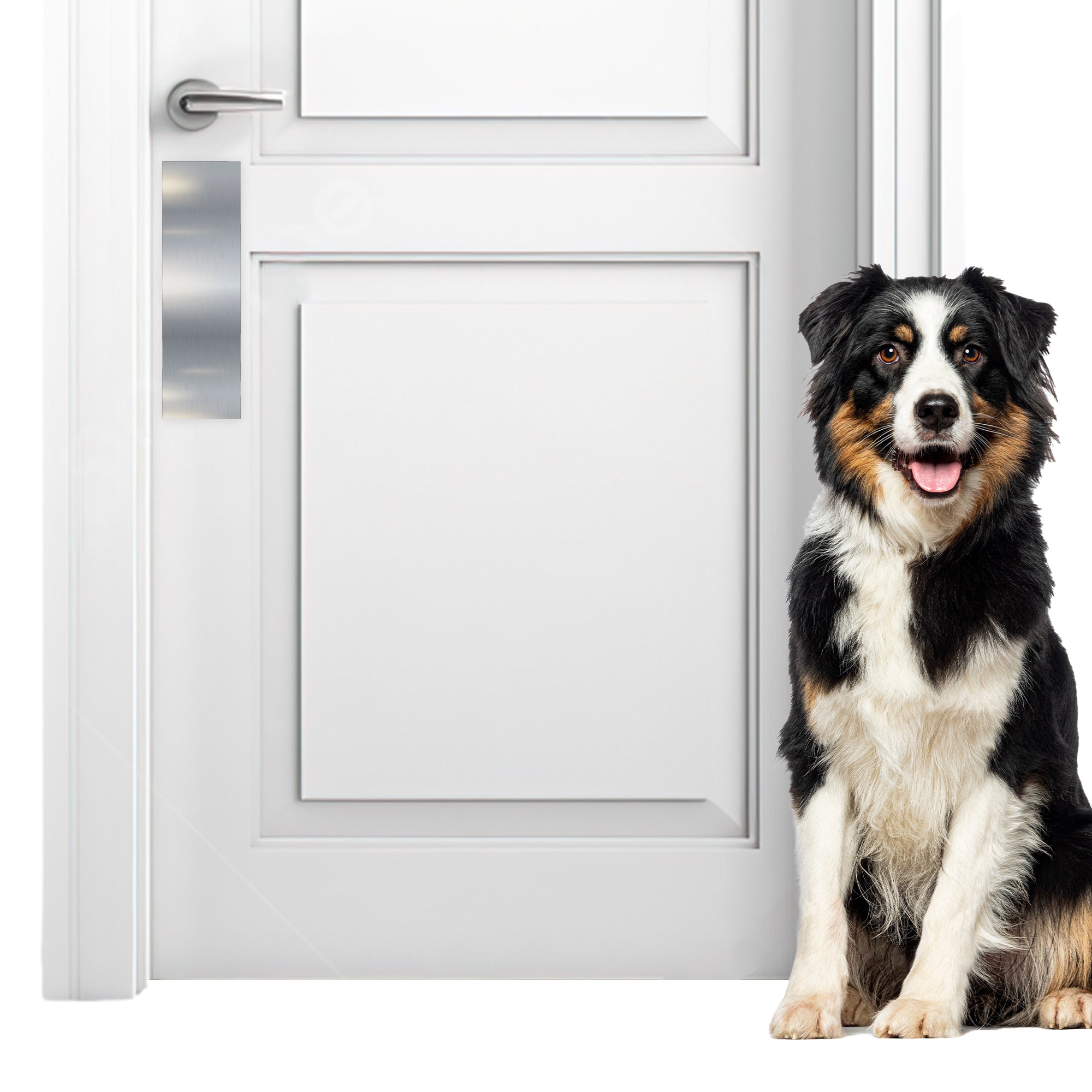 Stainless Steel Scratch Guard for Doors [Silver] – Panther Armor